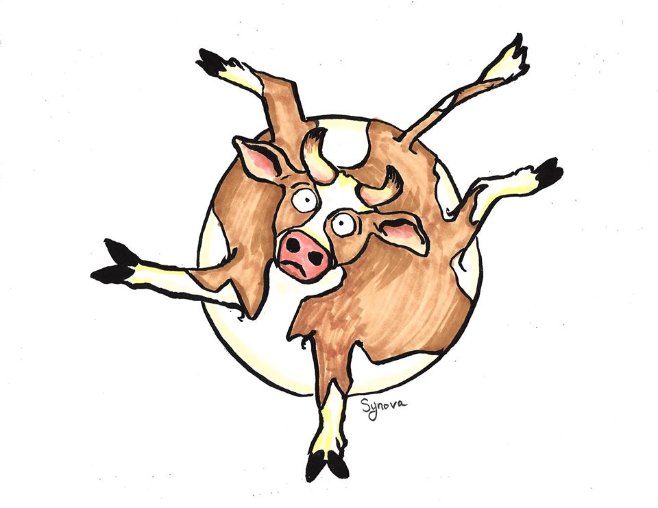 Assume a Spherical Cow of Uniform Density in a Frictionless Vacuum ...