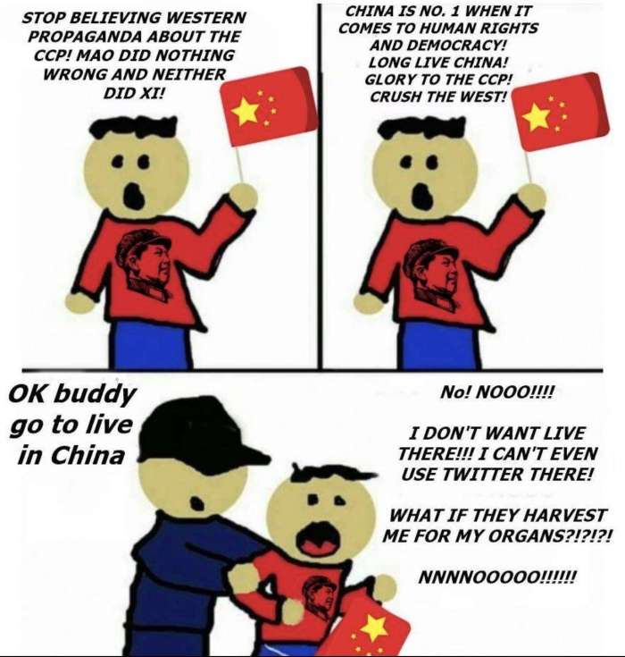 When It All Comes Down To Memes – According To Hoyt