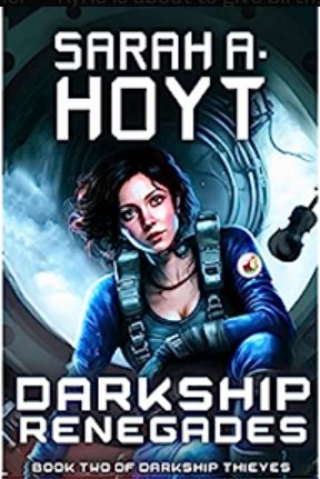 DarkShip Thieves Series – According To Hoyt