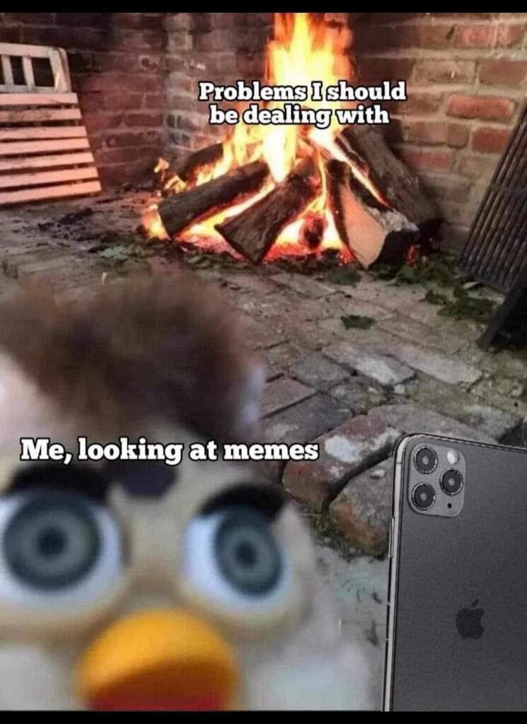 These Memes Are Made For Posting – According To Hoyt