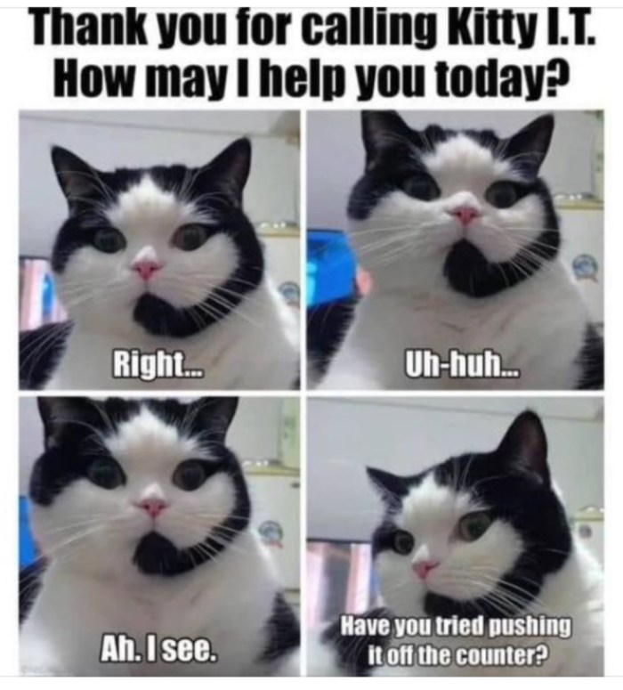 Meme Into the Darkness, Meme Till Dawn! – According To Hoyt