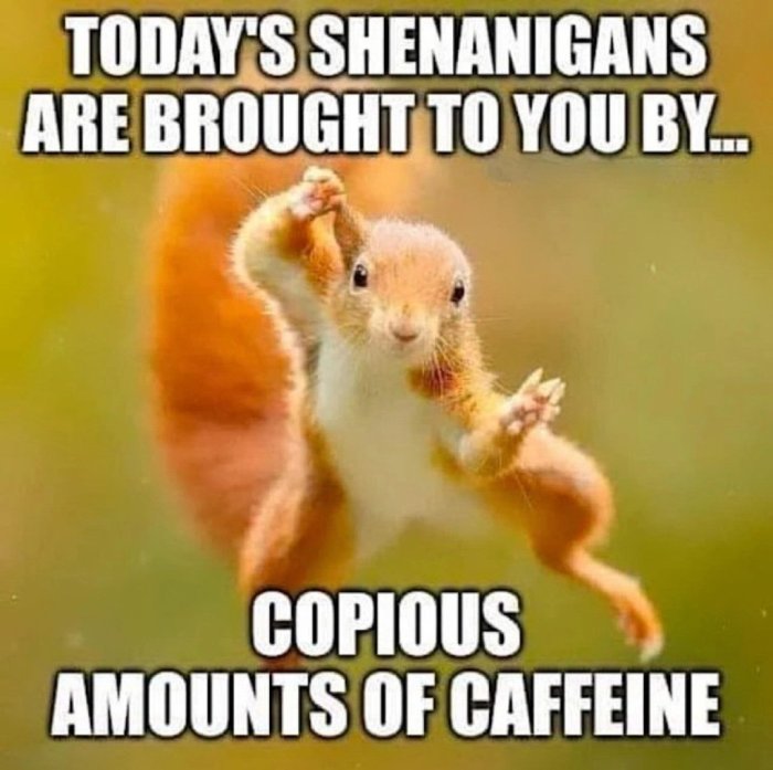 Semper Memes, Toujours Memes – According To Hoyt