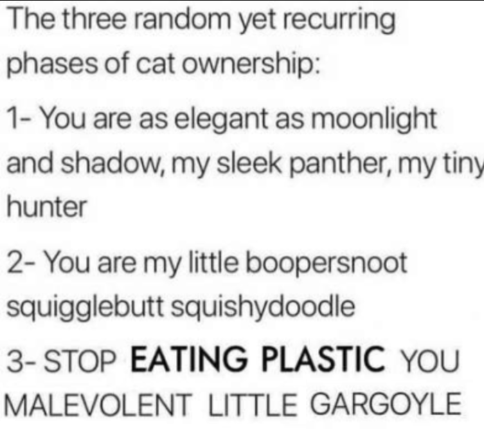 Semper Memes, Toujours Memes – According To Hoyt