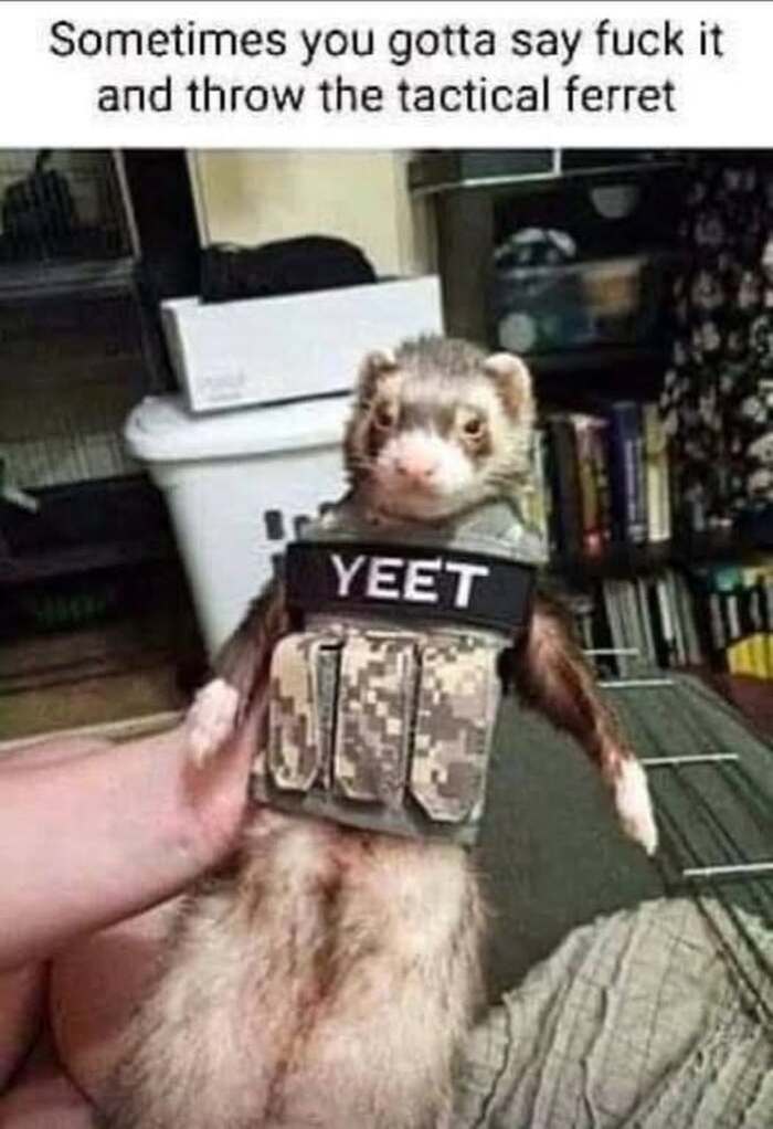 For the Memes They Are Aposting – According To Hoyt