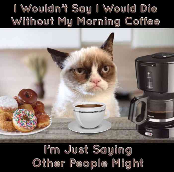 These Memes Are Made For Posting – According To Hoyt