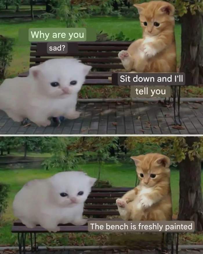 We’re Gonna Meme Around The Clock – According To Hoyt