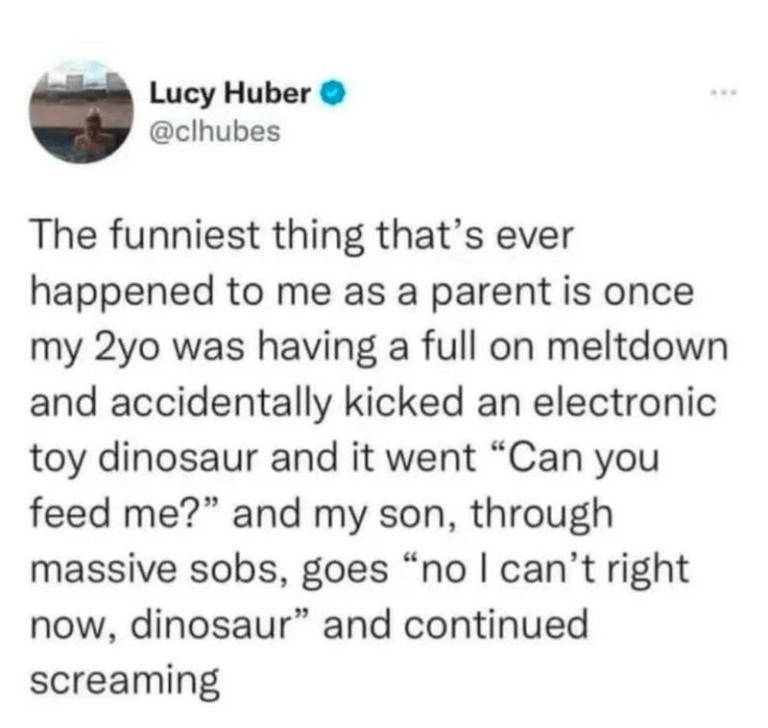 Waiting for the Other Memes to Drop – According To Hoyt