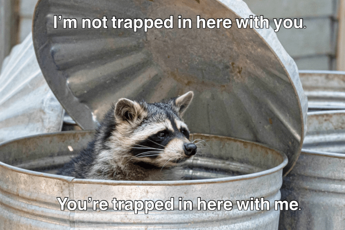 Meme and let Die – According To Hoyt